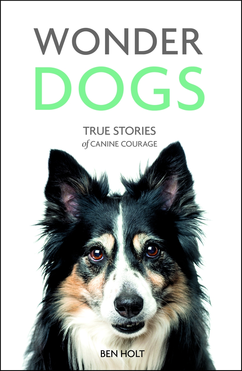 Wonder Dogs by Ben Holt | Hachette UK
